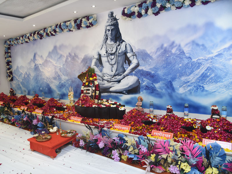 Divyeshwar Dhyan LinGam Mandir - Divya Prem Sewa Mission, Haridwar